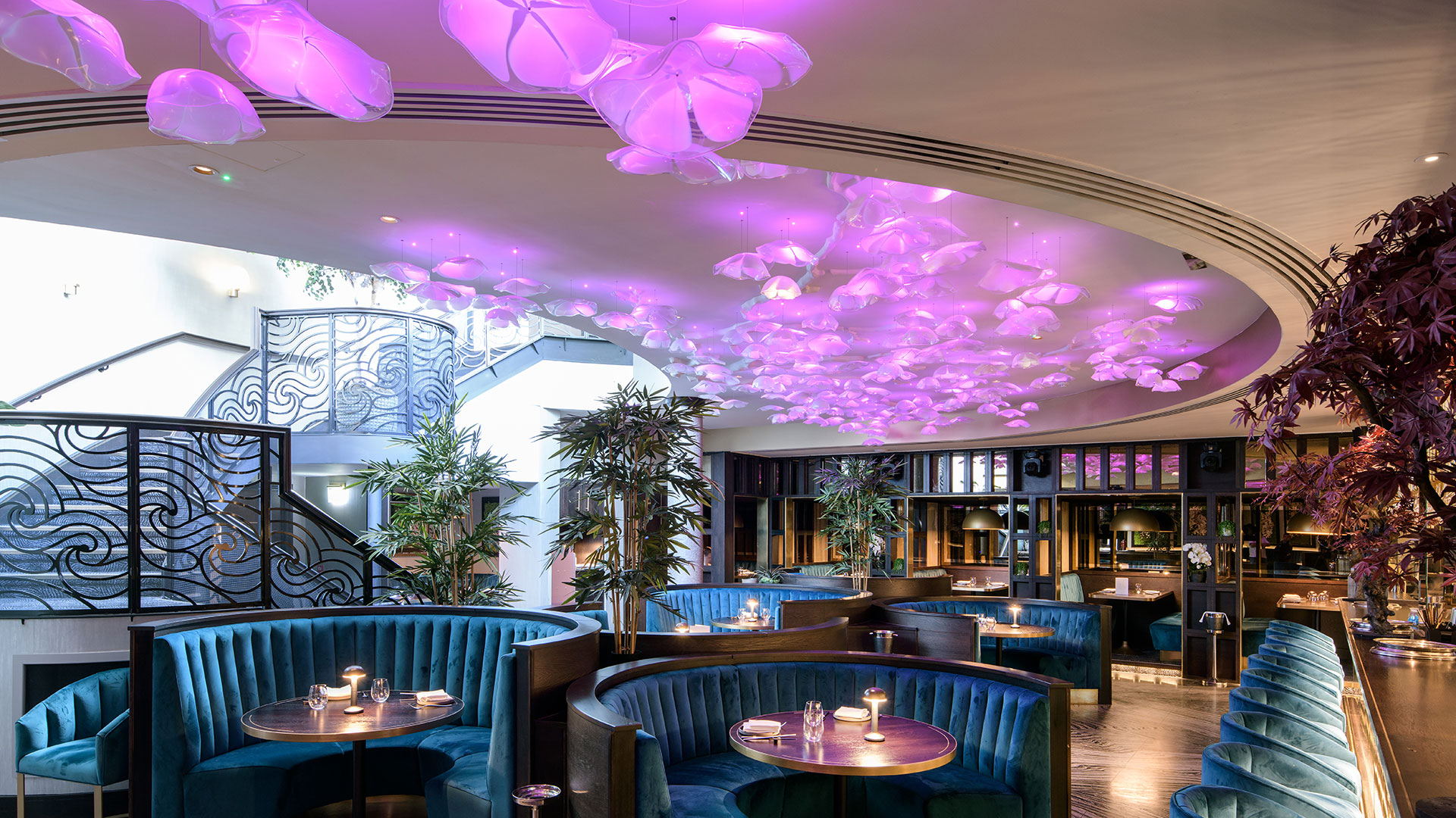 Fiber Optic Lighting | LED Lighting | UFO Lighting