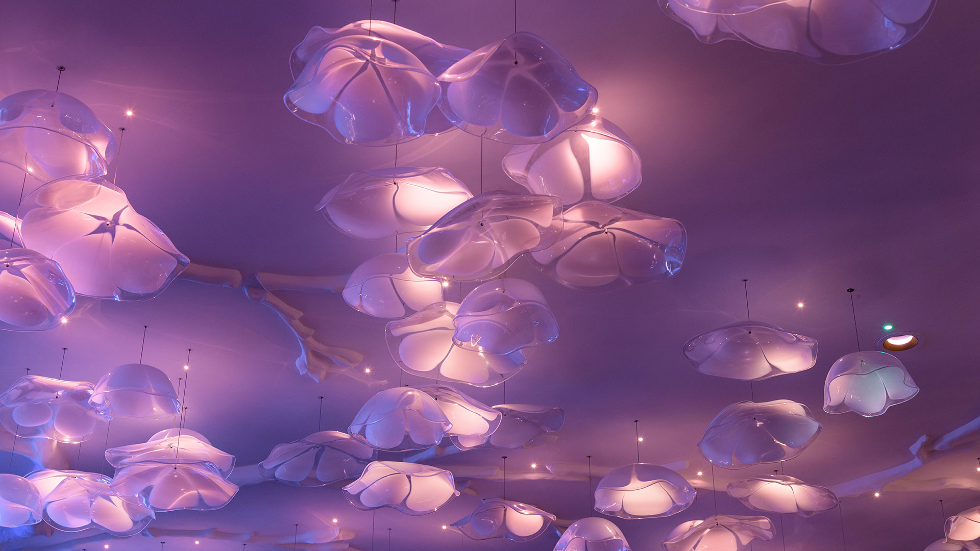 Fiber Optic Lighting | LED Lighting | UFO Lighting